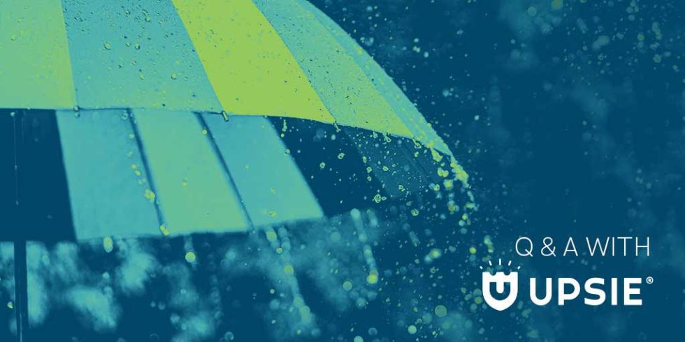 Upsie CEO on how to build inclusive culture